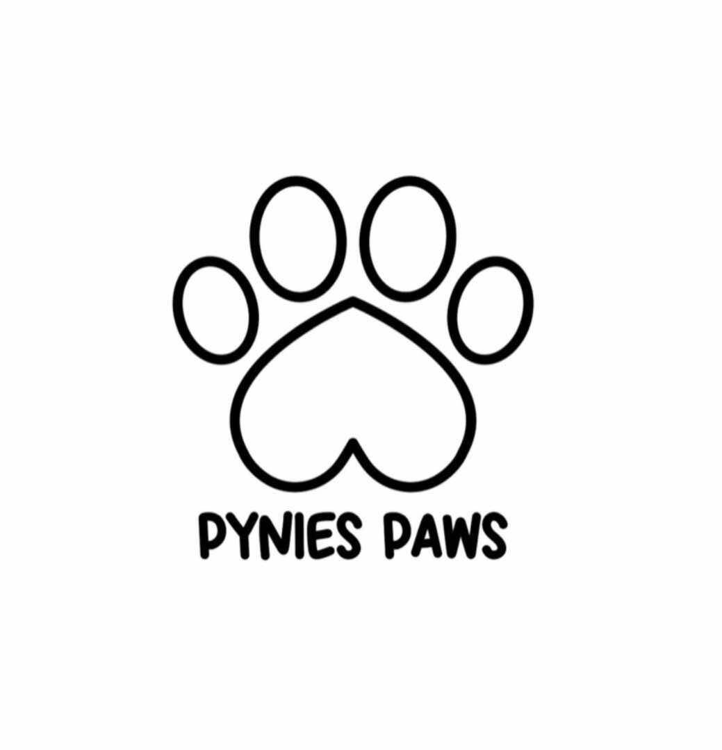 Corunna Minor Baseball